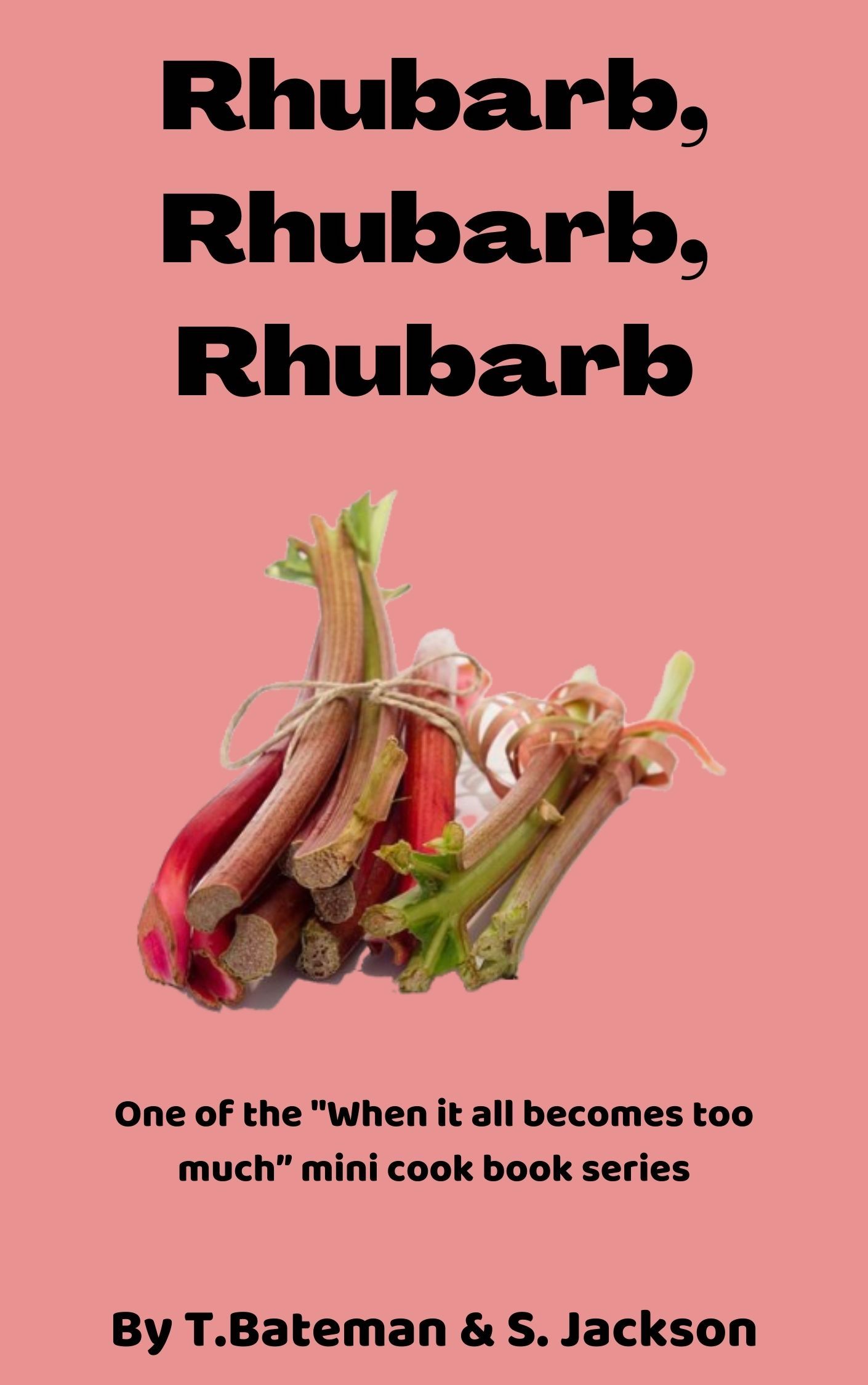 Mini Cookbooks now available in Print – Big Bulb Books & Designs